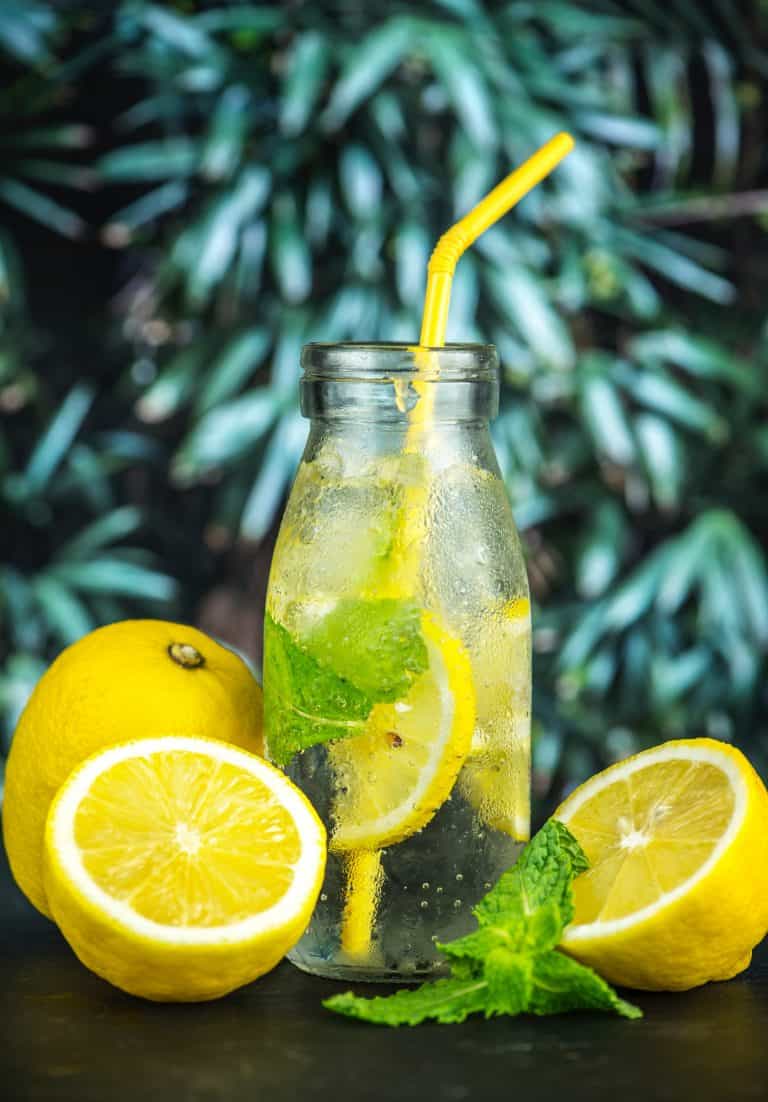 The Best Lemonade Recipe: Healthy Smart Kids in the Kitchen!