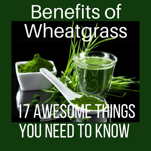 Benefits of Wheatgrass: 17 Awesome Things You Need to Know