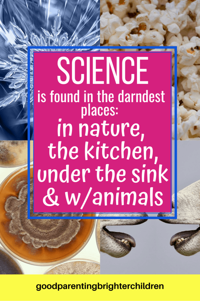 Here are Some of the Most Amazing Science Activities for Kids