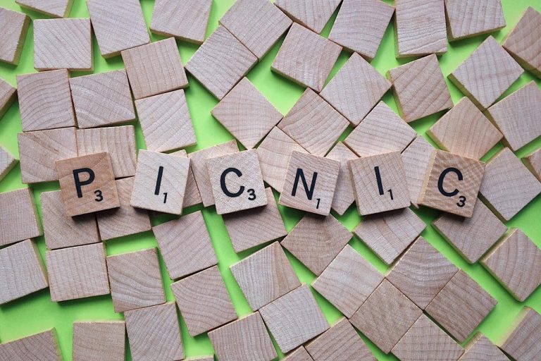 43 of the Best Family Picnic Ideas to Last a Lifetime