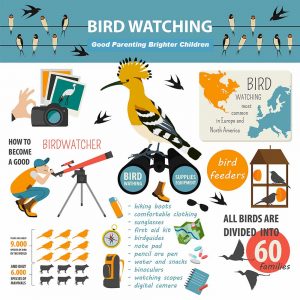 How to Teach Your Kids About Awesome Bird Watching