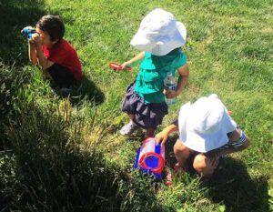 How to Discover Bugs and Insects with Grandparents