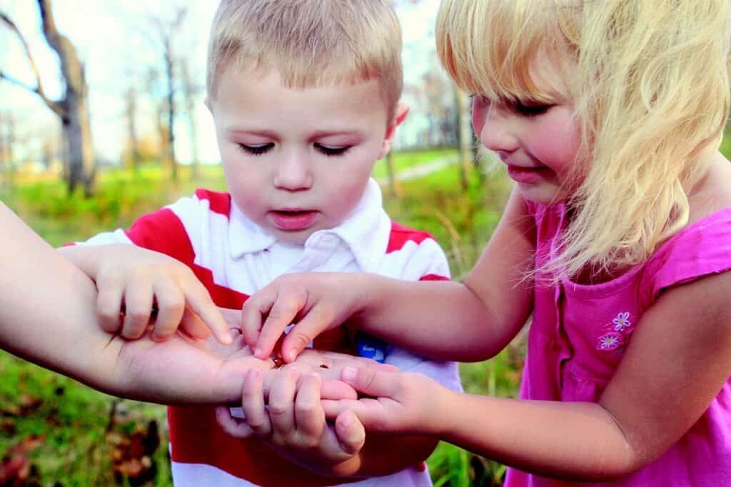 How to Discover Bugs and Insects with Grandparents