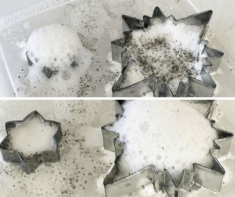 How to have Fun on a Nature Study with Grandparents