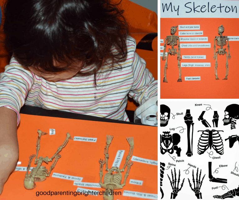 Here are the Best Halloween Books for Children & Grandchildren!