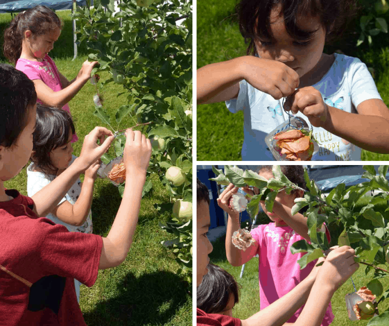 7 More Super Fun Fall Activities for Kids & Grandkids