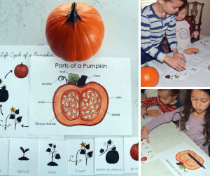 10 Meaningful Gratitude Thanksgiving Activities for Kids/Grandkids