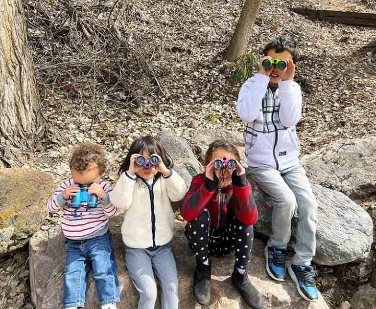 Here Are 11 Amazing Activities: Bird Watching for Kids & Grandkids