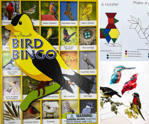 Here Are 11 Amazing Activities: Bird Watching for Kids & Grandkids