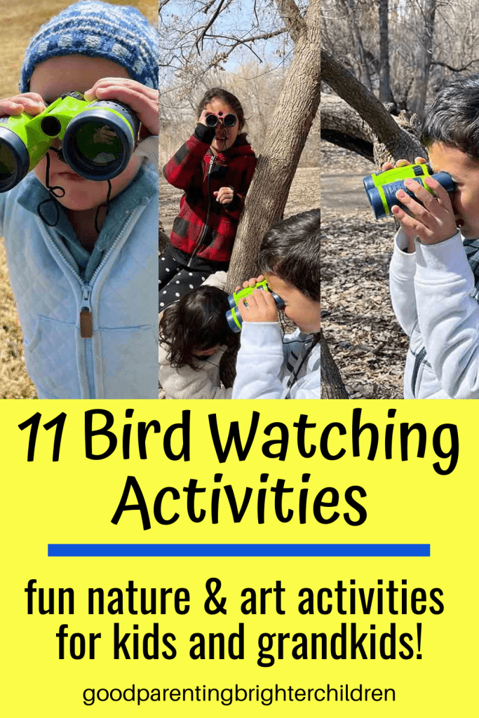 Here Are 11 Amazing Activities: Bird Watching for Kids & Grandkids