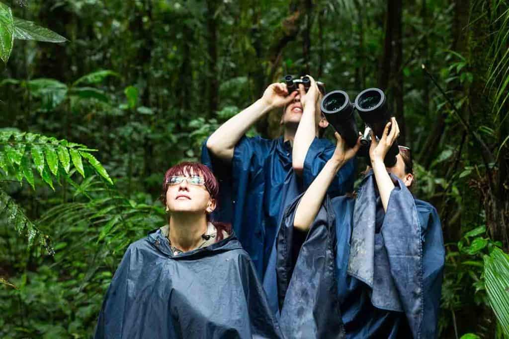 How to Teach Your Kids About Awesome Bird Watching