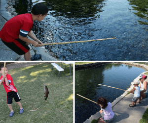 Here are 20 Best Outdoor Activities for Kids & Grandkids!