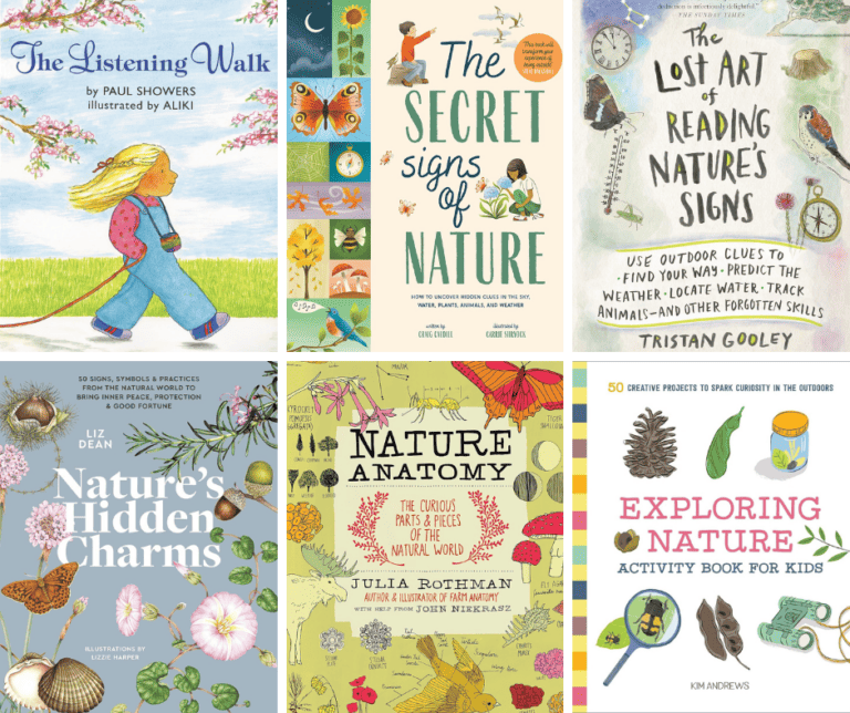 6 Fascinating Ways Our Ancestors Read Signs in Nature