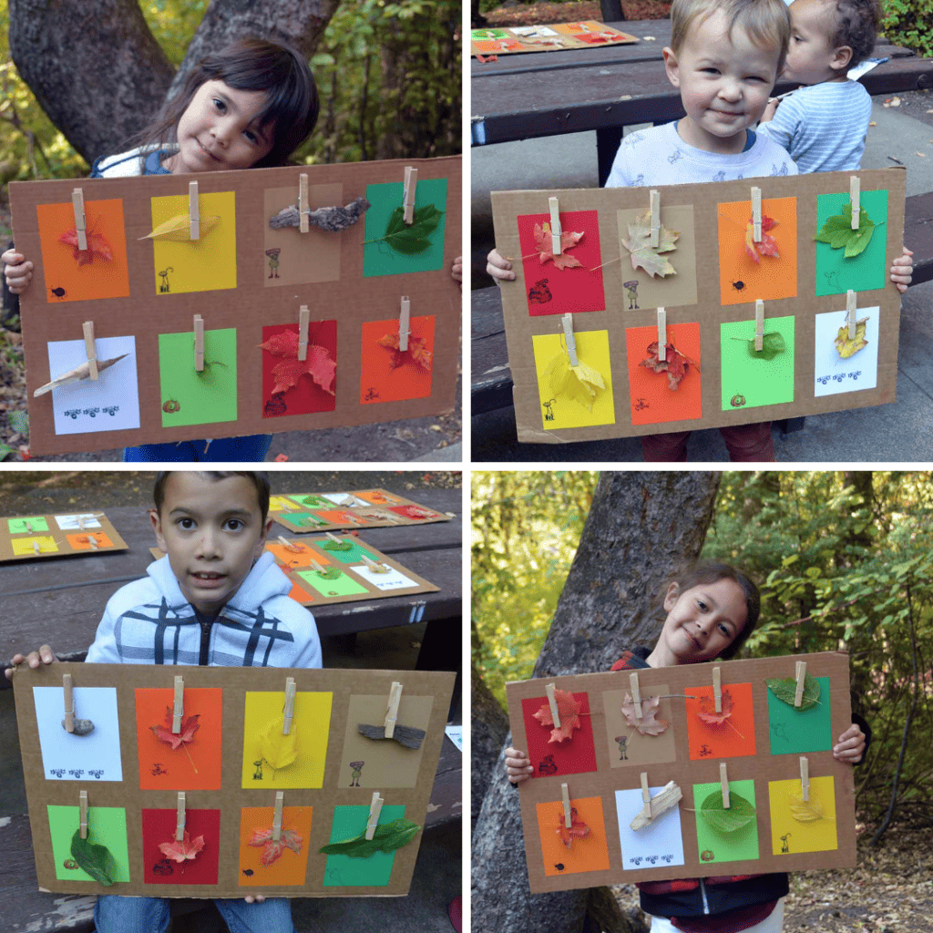 6 Fascinating Ways Our Ancestors Read Signs in Nature