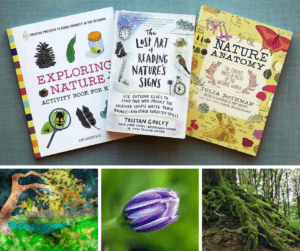 6 Fascinating Ways Our Ancestors Read Signs in Nature